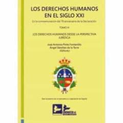 Derechos Humanos En El Siglo Xxi (Tomo Iv) En La Conmemoracion De L 70 Aniversario Declaración ...